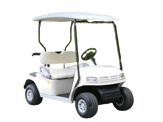 2 Seater Golf Carts - 2 Seater Electric Golf Cart for Sale