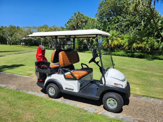 Service Golf Carts For Maintenance - Service Golf Buggy